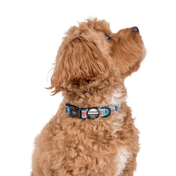 Finding Nemo: Dog Collar – Pablo & Co Wholesale