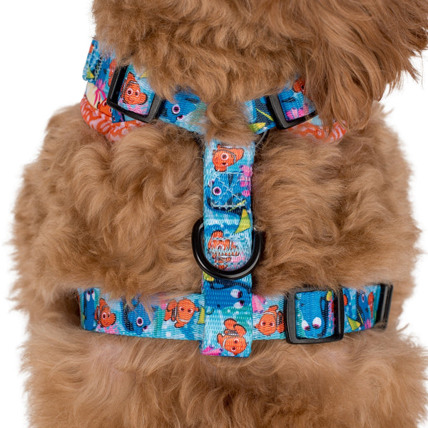 Finding Nemo: Adjustable Harness – Pablo & Co Wholesale
