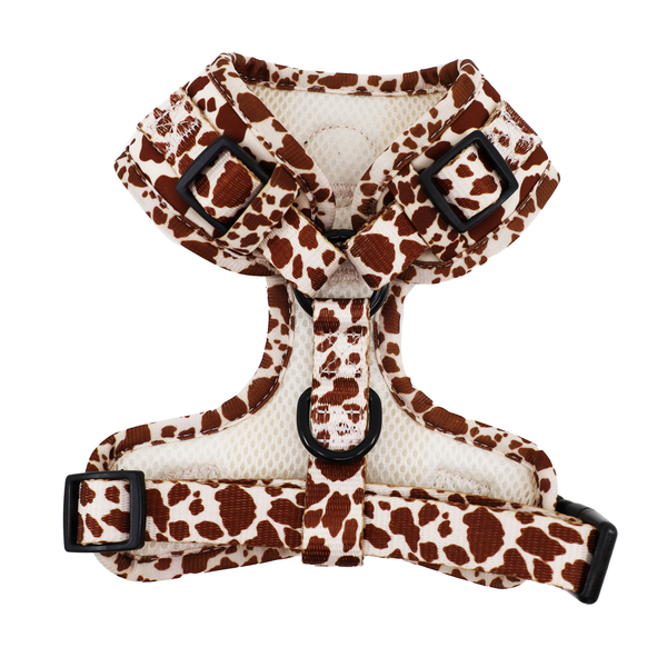 Rodeo: Adjustable Harness – Pablo & Co Wholesale