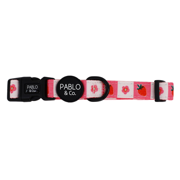 Strawberry Patch: Collar – Pablo & Co Wholesale