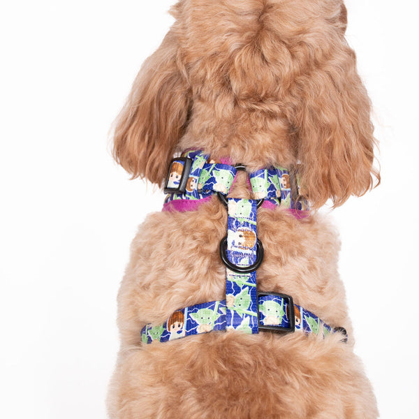 Luke Skywalker & Yoda: Adjustable Harness – Pablo & Co Wholesale